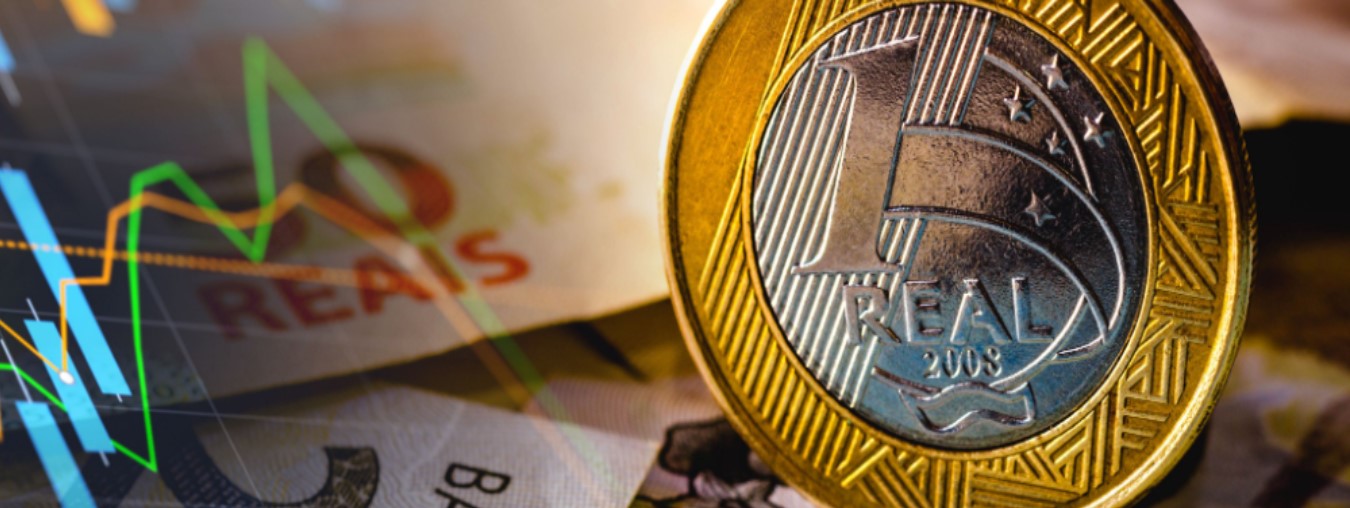 Case study SEO CEIC – Whizzystack