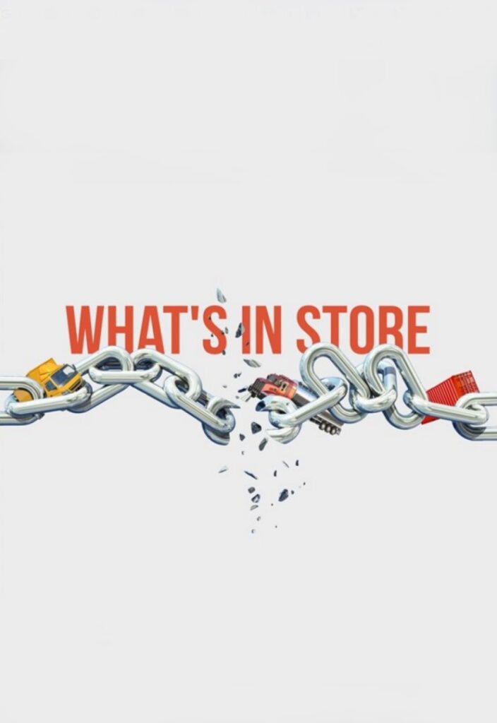 Case study SEO CEIC - Whizzystack